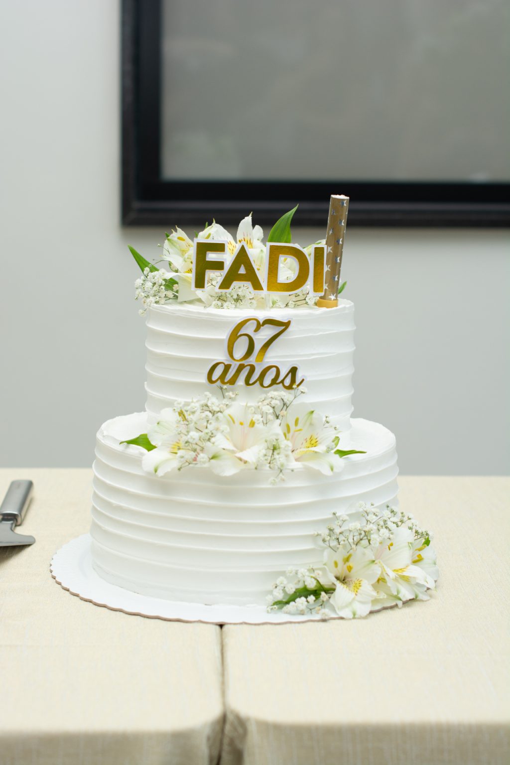 Tradição, Inovação e Excelência: A História de 67 Anos da FADI – FADI ...
